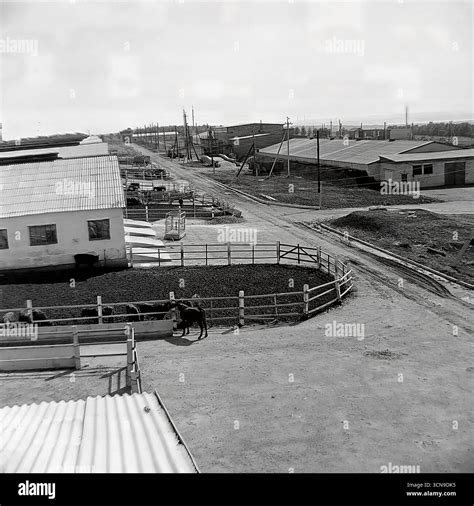 A Historical Panoramic Photograph From The 1980s Showing A General View And The Infrastructure