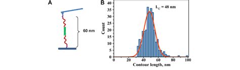 A Schematic Representation Of The Experimental Design For Force Download Scientific Diagram