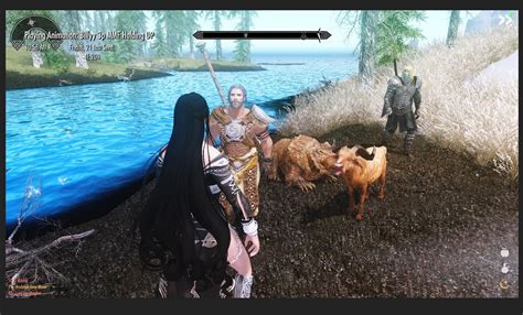 Issues With Certain Animations Not Playing Technical Support Sexlab