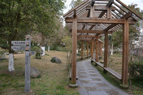 木质长廊图片廊架木别墅第8页大山谷图库