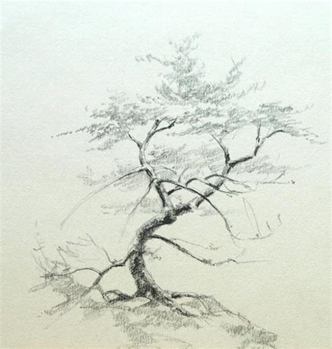 Pencil Drawing Trees By Eaglespare On DeviantArt