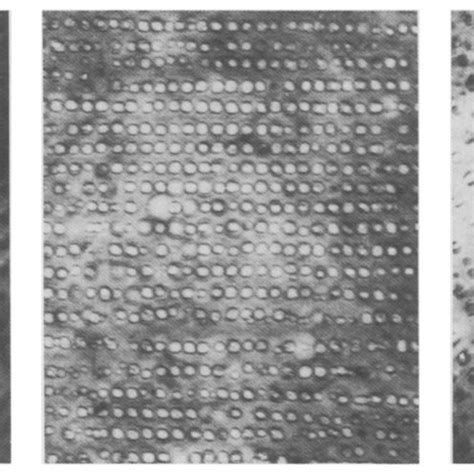 Schematic Illustration Of Void Alignment By One Dimensional Download Scientific Diagram