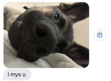 Side Snoot Rboopthesnoot