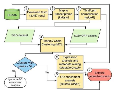 rna seq data analysis work flow 1 raw reads and metadata for 3 457 download scientific diagram