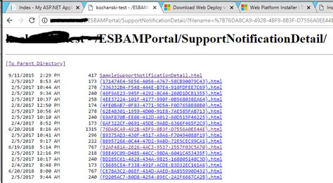 Mvc Controller Gives Directory Browsing Rather Than Returning Text Stack Overflow