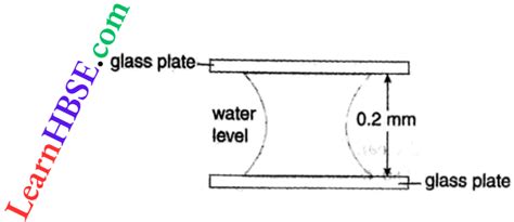 Hbse Class 11 Physics Capillary Action Meaning Definition Examples