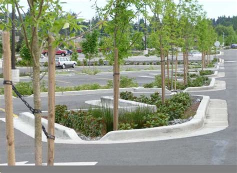 Parking Lot Planting Bed