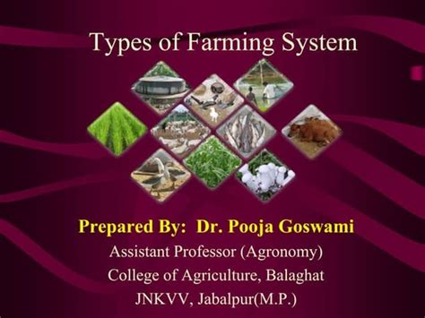 Multiple Cropping Systems Pptx Agriculture Industries