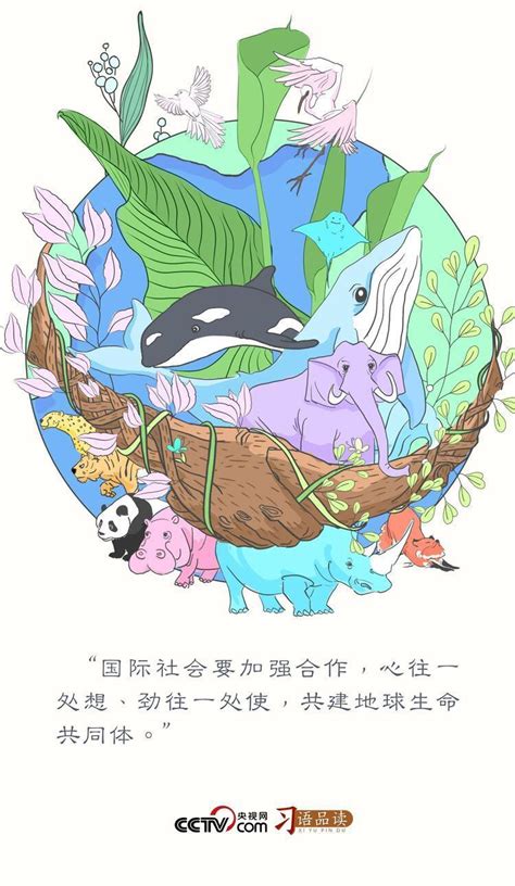 习语品读丨共建地球生命共同体四川在线