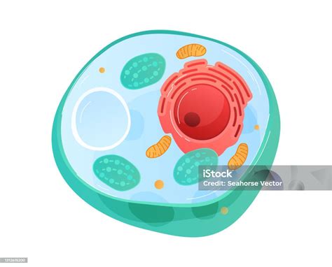 연구 Dna에 대한 과학 현미경으로 절단 인간의 세포 의학 연구 만화 스타일의 벡터 일러스트레이션 흰색에 고립 Dna에 대한