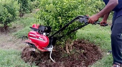 Kt Agro Kt Agro වෙතින් ඔබට ලබාගත හැකි සේවාවන් කෘෂි උපකරණ පැල වර්ග එළවලු පළතුරු අතුරු බෝග