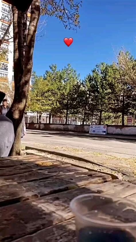 Pin By Eda On Kaydettiklerim Best Video Editing App Beautiful Nature