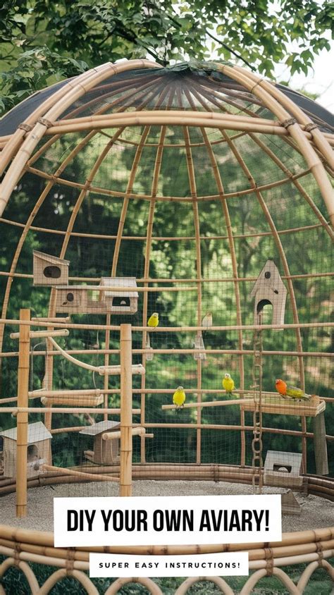 Creating The Perfect Backyard Aviary What To Consider For Your Dream