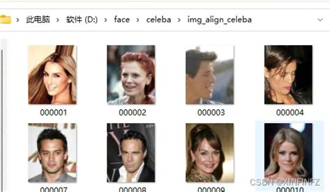 pytorch项目实战之实时人脸属性检测系统 from torchvision datasets import celeba csdn博客