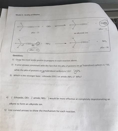 Solved Model 2 Acidity Of Alkynes Questions 1 Circle The