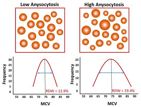 Монитор Rdw Telegraph