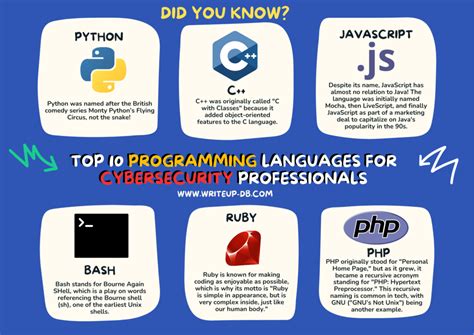 Top 10 Programming Languages For Cybersecurity Professionals In 2024