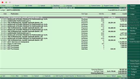 Tally Erp Reports Ledger