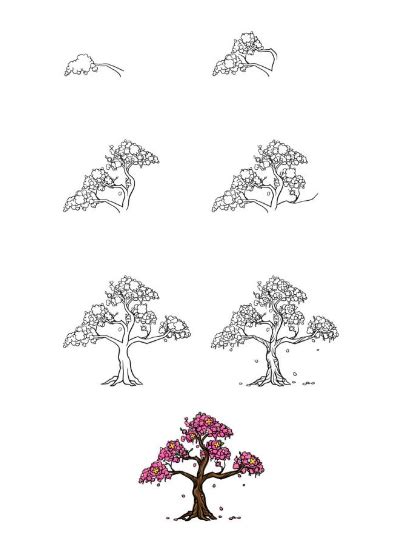 Draw A Cherry Blossom