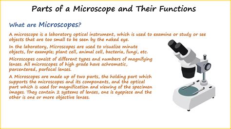 Parts Of A Microscope And Their Functions Pdf Photography Arts And Crafts