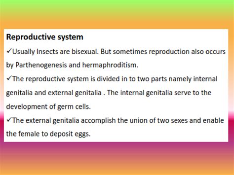 Solution Insect Reproductive System Studypool