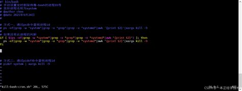 linux系统占用cpu病毒处理记录 linux的cpu满了中毒 csdn博客