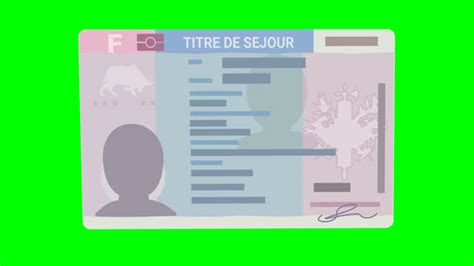 20 France Passport Photos Stock Videos And Royalty Free Footage Istock