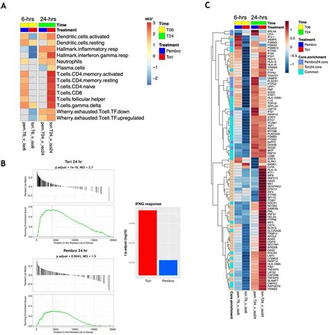 468 Characteristics Of Toripalimab A Next Generation Anti Pd 1 Antibody With Potent T Cell