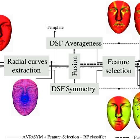Flow Chart Of The Proposed Gender Classification Approach There Are Download Scientific