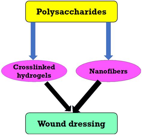 Recent Advancements In Microbial Polysaccharides Synthesis And Applications Pmc