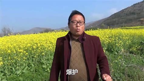 揭秘丹江钓鱼第2怪小坑塘里钓斤鲫原来真相是这样的 体育 钓鱼 好看视频