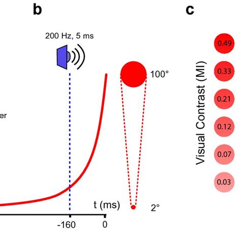 Experimental Setup And Stimulus Design A Behavioral Setup Download Scientific Diagram