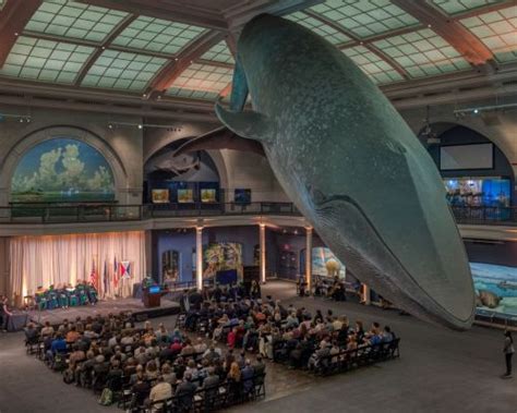 American Museum Of Natural History