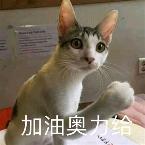 什么是奥力给
