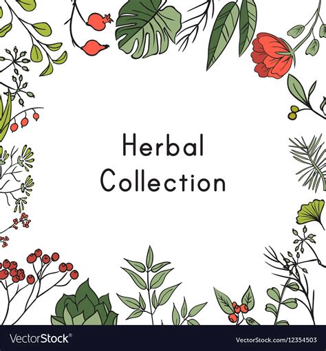 Thư Viện Herbal Background Vector Miễn Phí đa Dạng Mẫu Mã