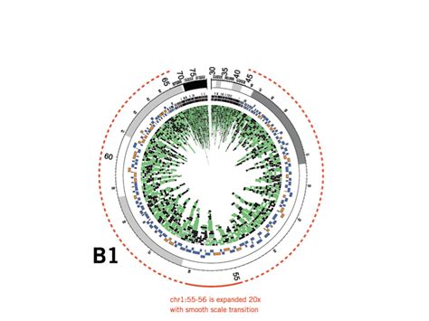 Introduction To Circos Circos Circular Genome Data Visualization
