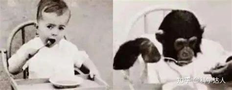 一场持续9个月的凯洛格实验，到底有多疯狂？结局令人深思！ 知乎