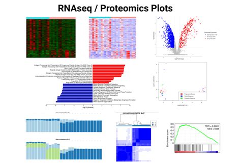 Rnaseq Or Proteomics Analysis By Guillevb Fiverr