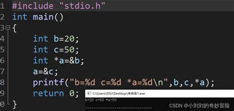 指针基本用法 Csdn博客
