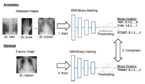 Binary Codes For Tagging X Ray Images Via Deep De Noising Autoencoders