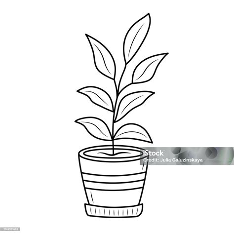 화분에 잎이 있는 실내 가정 식물 라인 아트 낙서 관엽 식물 아이들을 위한 색칠 공부 0명에 대한 스톡 벡터 아트 및 기타