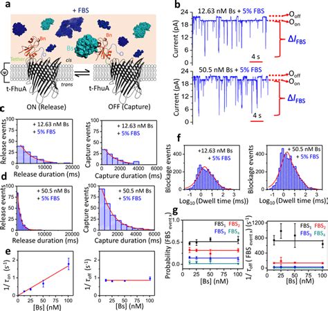 Single Molecule Protein Detection In A Biofluid Using A Quantitative Nanopore Sensor Abstract