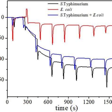 Qcm Biosensor Specificity Sensorgrams Of Salmonella Typhimurium Black Download Scientific