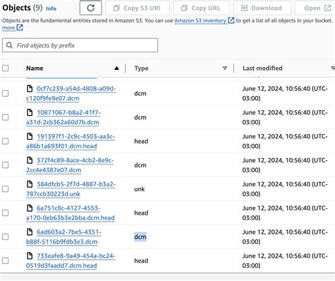 Downloading Files From S3 Plugin And Using It General Orthanc Users
