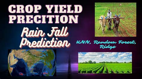 Crop Yield Prediction Rainfall Prediction Machine Learning Knn
