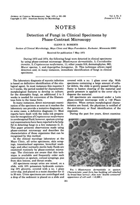 Pdf Detection Of Fungi In Clinical Specimens By Phase Contrast Microscopy