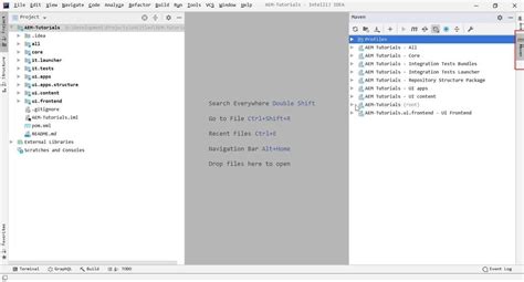 Day 04 Setup Aem Development Environment Red Quark