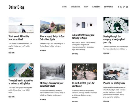 Daisy Blog Tema Do Wordpress Brasil