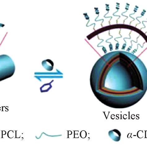 摇 Synthesis Of Temperature鄄responsive Polymer Fluorescent Switches 37