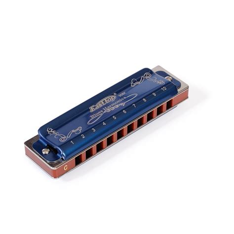 What Is The Easiest Musical Instrument To Learn For Adult Beginners SonoBoom Com